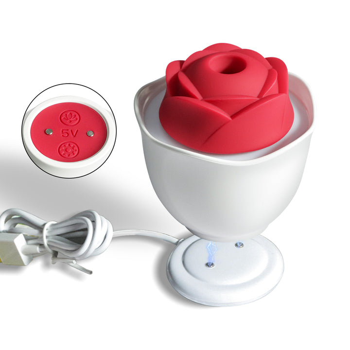 Rose Toy Charging Accesories – Rose Toy Official Store